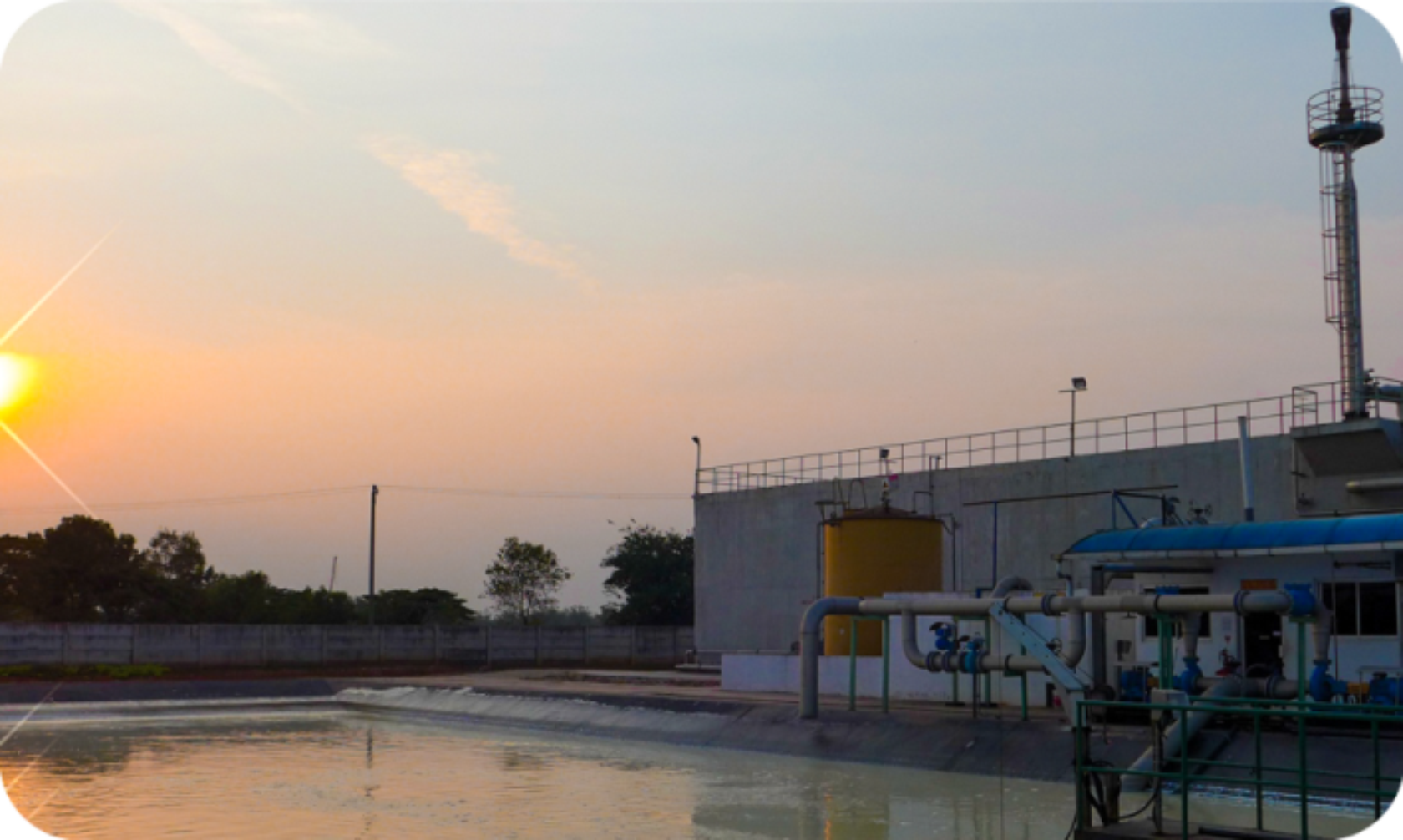 Our Approach - Great Giant Foods - Sustainable Farming Development